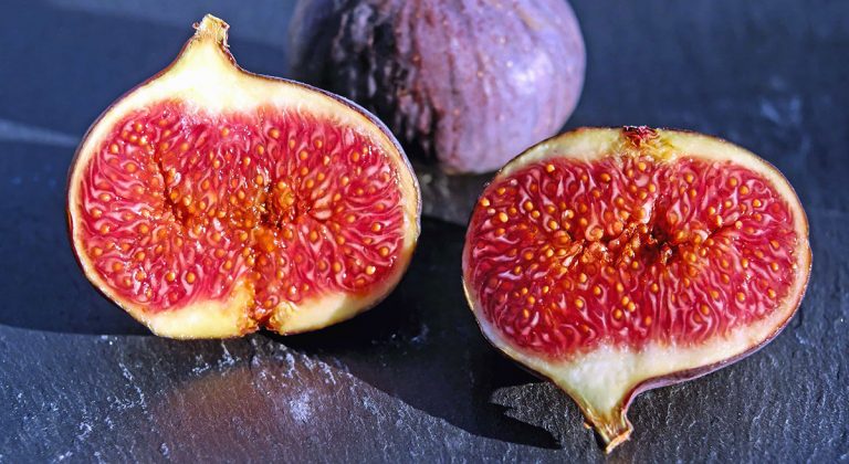 Higo, una deliciosa opción para cultivar – CIMMYT | IDP